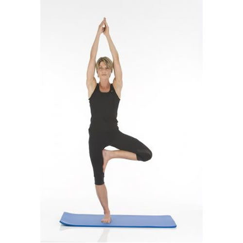 Togu Premium Piloga günstig kaufen im CARDIOfitness Shop – CARDIOFITNESS