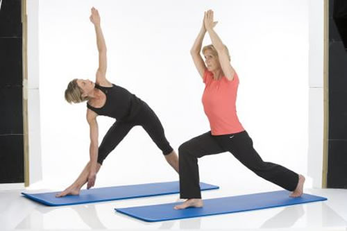 Togu Premium Piloga günstig kaufen im CARDIOfitness Shop – CARDIOFITNESS
