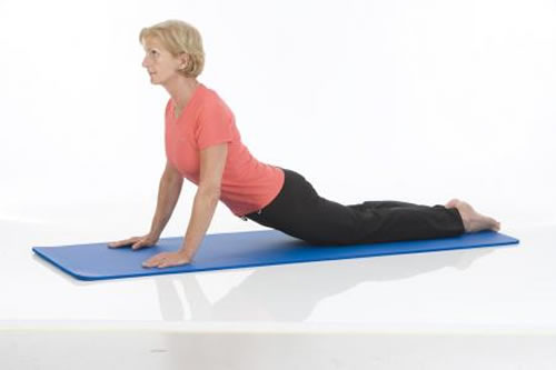 Togu Premium Piloga günstig kaufen im CARDIOfitness Shop – CARDIOFITNESS
