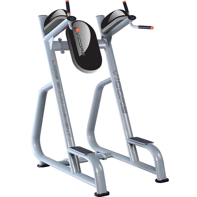 Vicore VKR Beinhebe- und Dip-Station günstig kaufen im CARDIOfitness ...